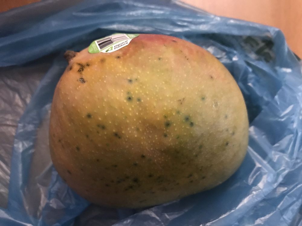 HIGUERAL PRODUCE - Updated January 2025 - 24 Calle Cristina, Rio Rico ...