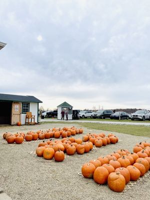 PATTERSON FRUIT FARM - Updated October 2024 - 201 Photos & 132 Reviews ...