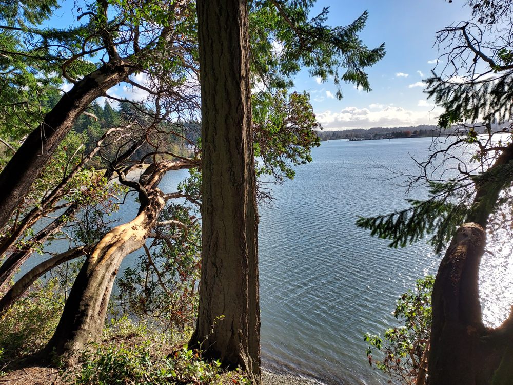 ROBIN DOWNEY - SKYLINE PROPERTIES - Updated March 2025 - Contact Agent ...