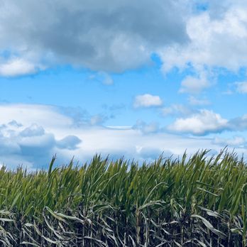 BUTLER’S ORCHARD - Updated August 2024 - 706 Photos & 391 Reviews ...