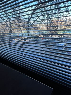 ARLINGTON PUBLIC LIBRARY - ARLINGTON - Updated November 2025 - 37 ...