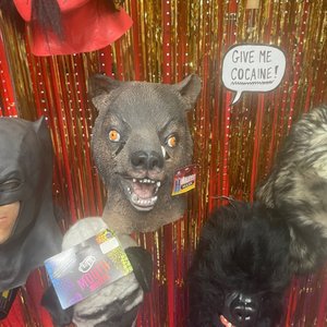 CHAMPION PARTY SUPPLY - 131 Photos & 112 Reviews - 1461 Elliott Ave W ...