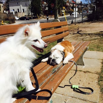 EGLINTON PARK - Updated December 2025 - 13 Photos - 160 Eglinton Avenue ...