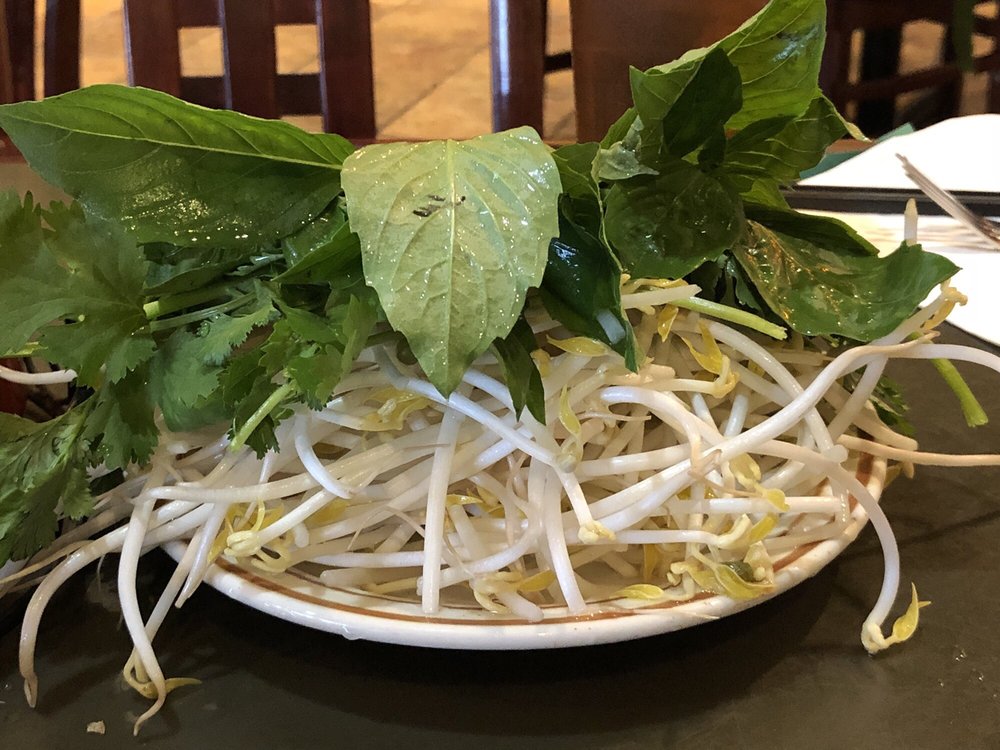 PHO DAT THANH - 194 Photos & 357 Reviews - Vietnamese - 9400 Snowden ...