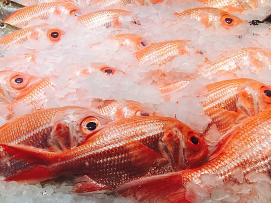 KAILIS BROS FISH MARKET & FISH CAFE - Updated January 2026 - 61 Photos ...