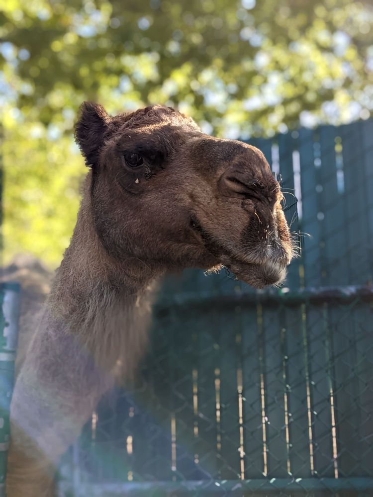 INDIAN SPRINGS RANCH - Updated December 2024 - 36 Photos - 403 Elm Way ...