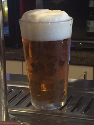 WINGERS SPORTS GRILL - 42 Photos & 35 Reviews - 7929 Vaughn Rd ...