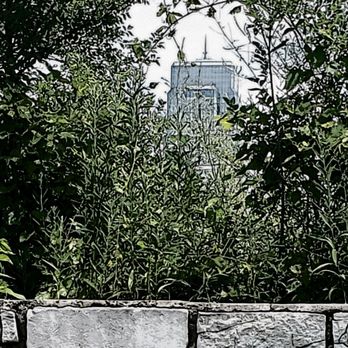 MULKEY SQUARE - Updated November 2025 - 21 Photos - W 13th St, Kansas ...