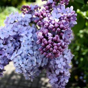 GORDON RIGGS GARDEN CENTRE - Updated July 2025 - 35 Photos - Rochdale ...