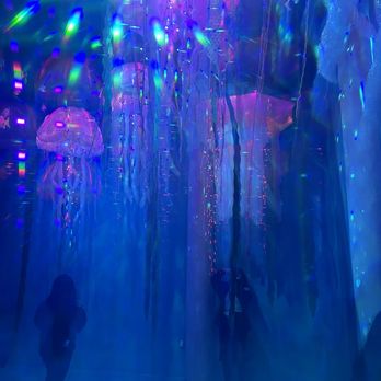 WONDER CHAMBER - Updated January 2026 - 104 Photos & 56 Reviews - 8800 ...