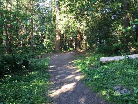 SIMON FRASER HILLS PARK - Updated May 2024 - 74 Photos - 9025 Centaurus ...