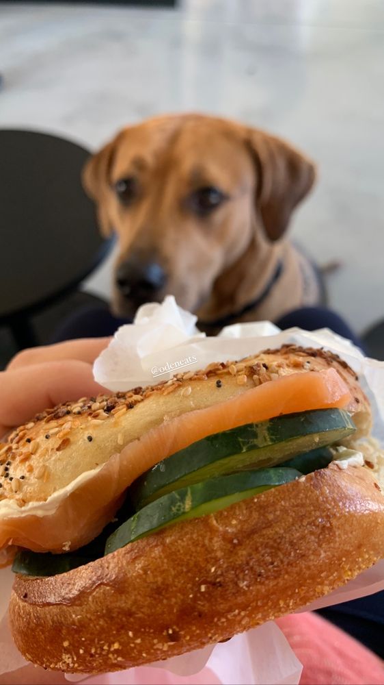 BISON COFFEE - Updated July 2025 - 43 Photos & 35 Reviews - 1600 ...