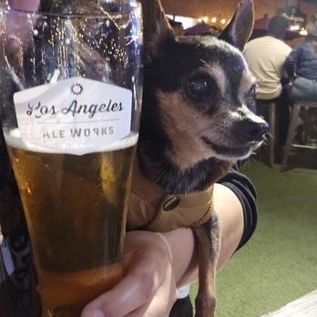 LOS ANGELES ALE WORKS - Updated October 2025 - 612 Photos & 345 Reviews ...