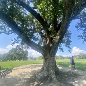 THE SINGING OAK - Updated December 2025 - New Orleans, Louisiana ...