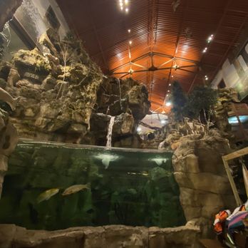 BASS PRO SHOPS - Updated January 2026 - 190 Photos & 95 Verified ...