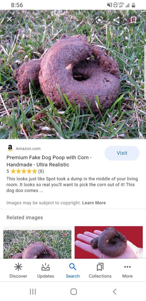 AJ ACRES CAMPGROUND - Updated December 2025 - 10 Photos & 17 Reviews ...