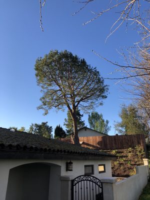 FINLEY’S TREE AND LAND CARE - Updated December 2025 - 214 Photos & 351 ...