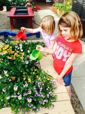 BUTTERFLY GARDEN PRESCHOOL & CHILDCARE - Updated September 2024 - 45 ...