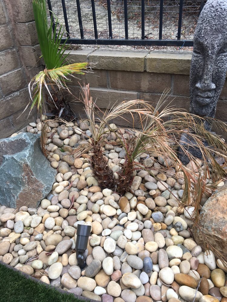 CALICO LANDSCAPE - Updated April 2025 - 26541 Oso Rojo, Mission Viejo ...