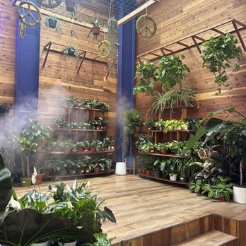 THE MELLOW SF - Updated May 2025 - 125 Photos & 56 Reviews - 1401 ...