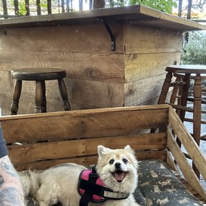 CALAPOOIA BREWING COMPANY - 140 Photos & 234 Reviews - 140 Hill St NE ...