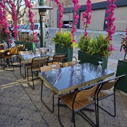 ROMAN WOLVES - Updated October 2025 - 1128 Photos & 553 Reviews - 1980 ...