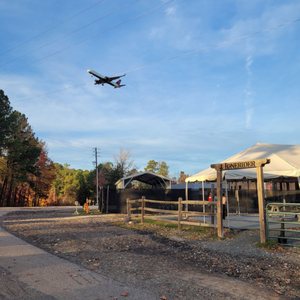 SOUTH LINE BREWING - Updated December 2025 - 13 Photos & 12 Reviews ...