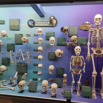 SKELETONS MUSEUM OF OSTEOLOGY - Updated October 2025 - 552 Photos & 165 ...