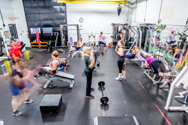 THE WORKOUT WAREHOUSE - Updated December 2025 - 18582 W Jefferson Ave ...