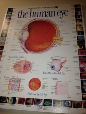 MEDICAL VISION TECHNOLOGY OPHTHALMOLOGY GROUP - Updated August 2025 ...