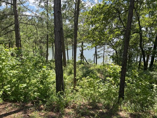 CLARK’S HILL - Updated October 2025 - 14 Photos - 510 Clarks Hill Hwy ...