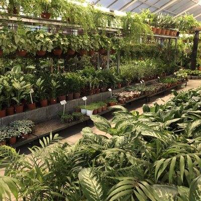 VIVERO MARIO - 30 Photos - Av. Raúl Scalabrini Ortiz 1240, Buenos Aires ...