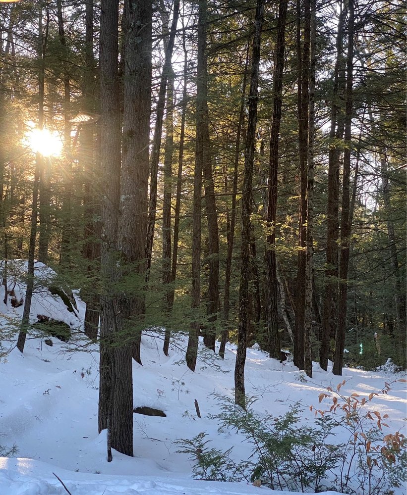 FRIENDLY BEAVER CAMPGROUND - 29 Reviews - 88 Cochran Hill Rd, New ...