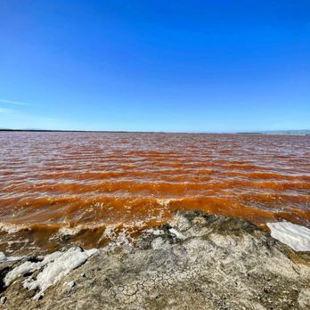 ALVISO MARINA COUNTY PARK - Updated May 2025 - 1673 Photos & 218 ...