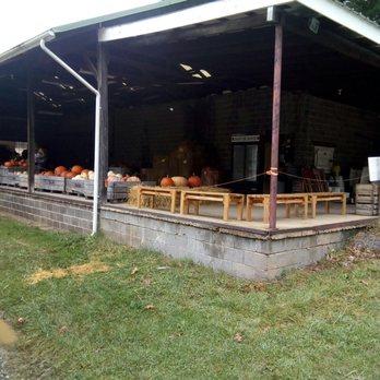 SHAW ORCHARDS - Updated October 2025 - 29 Photos & 16 Reviews - 5594 ...