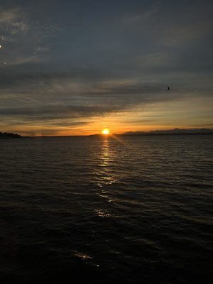 THE BRIM COFFEE SHOP - Updated April 2025 - 23 Photos & 15 Reviews ...