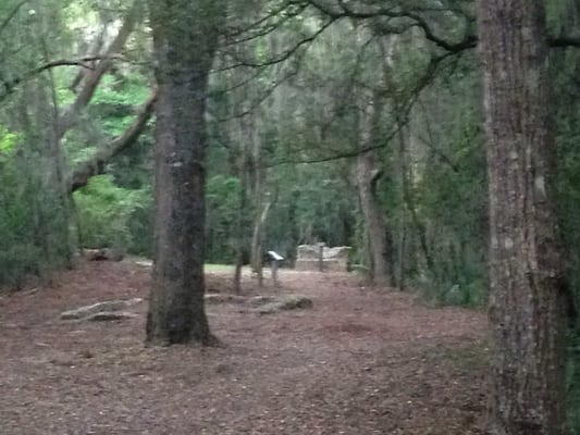 STONEY-BAYNARD RUINS - Updated December 2025 - 41 Photos - Plantation ...