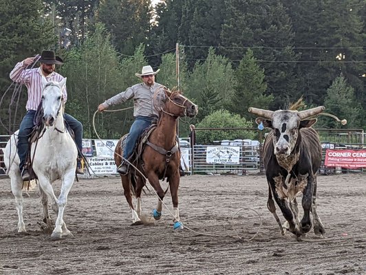WILD WEST YELLOWSTONE RODEO - Updated September 2025 - 40 Photos & 23 ...