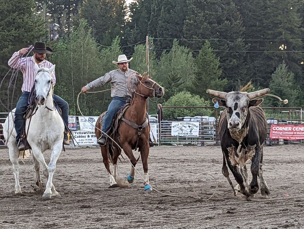 WILD WEST YELLOWSTONE RODEO - Updated July 2024 - 34 Photos & 15 ...