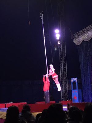 AMERICAN CROWN CIRCUS - Updated December 2025 - 11 Photos & 17 Reviews ...