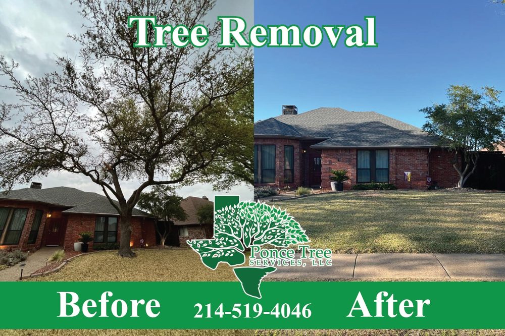 PONCE TREE SERVICES - Updated September 2025 - 4925 Greenville Ave ...