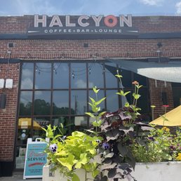 HALCYON - Updated December 2025 - 749 Photos & 501 Reviews - 2900 ...