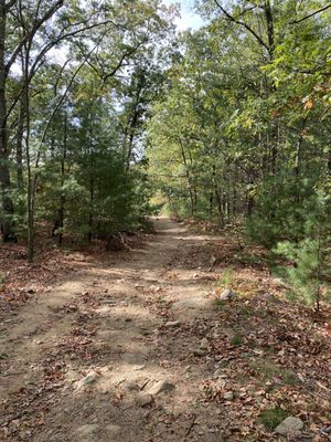 SNAKE DEN STATE PARK - Updated September 2024 - 28 Photos - 2321 ...