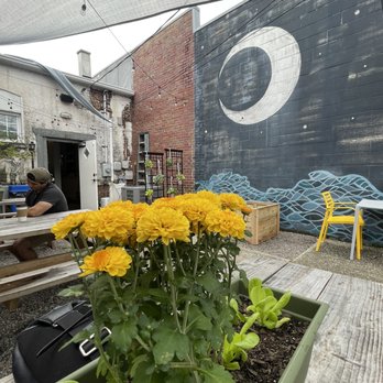 ODD DUCK MARKET - Updated October 2024 - 91 Photos & 31 Reviews - 1082 ...