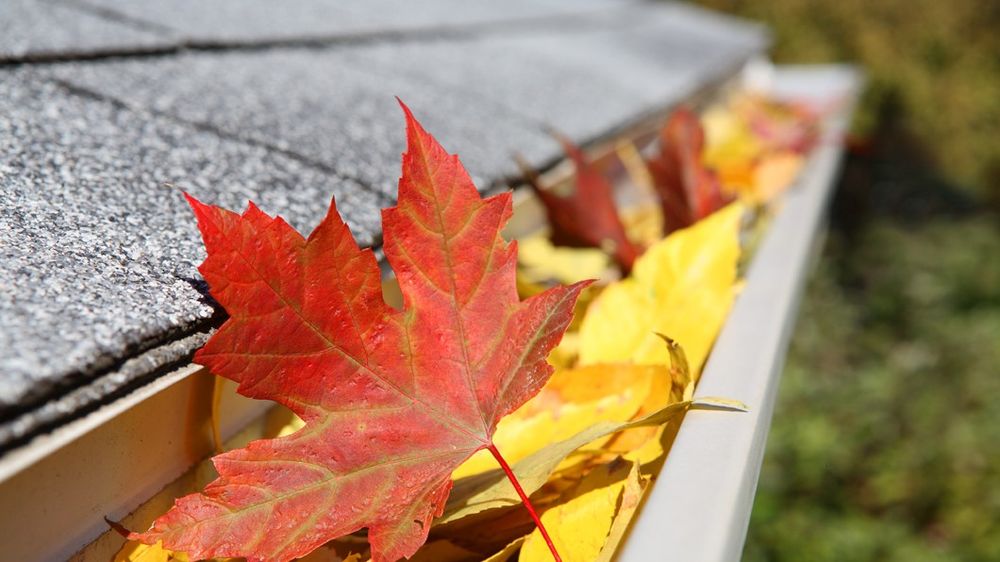 DRIP DRY GUTTERS - Updated January 2026 - Castorland, New York - Gutter ...