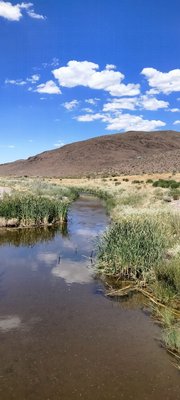 ERICA GREIF MEMORIAL BIKE TRAIL - Updated March 2025 - 11 Photos ...