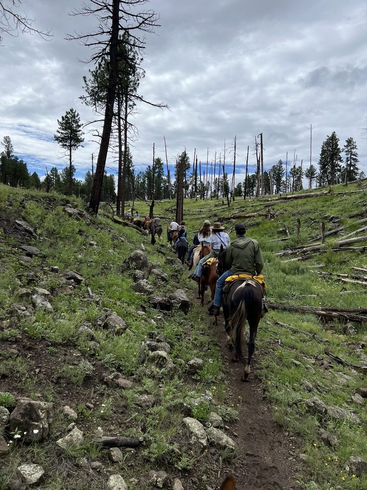 SPRUCEDALE GUEST RANCH - Updated July 2025 - 38 Photos - 1228 Wiltbank ...