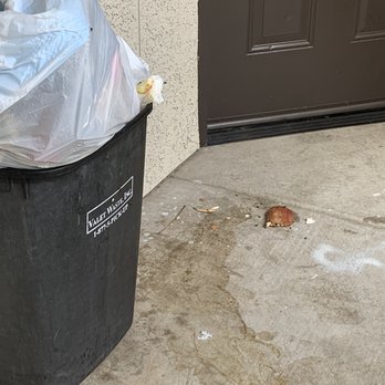 SAN MARBEYA BY MARK-TAYLOR - Updated January 2026 - 37 Photos & 50 ...