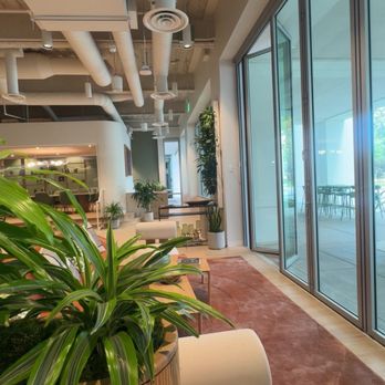 FLOURISH - Updated January 2026 - 134 Photos & 35 Reviews - 6101 ...