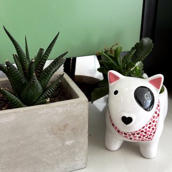 SOVEREIGN COFFEE - Updated July 2025 - 35 Photos & 21 Reviews - 1160 E ...